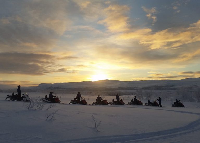 SnowFun Safaris | Snowmobile
